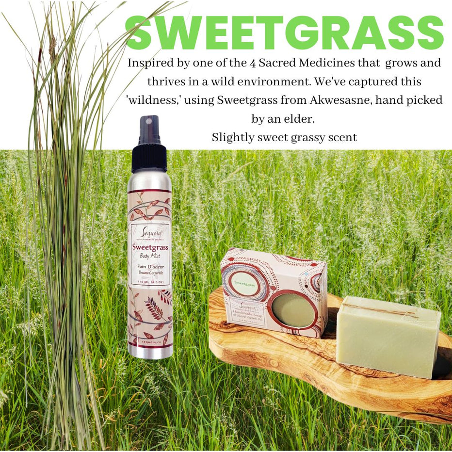 Sweetgrass Soap – Sequoia Proudly Indigenous